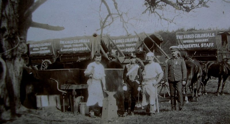 The King's Colonials - The History, Uniforms and Badges of The King's ...