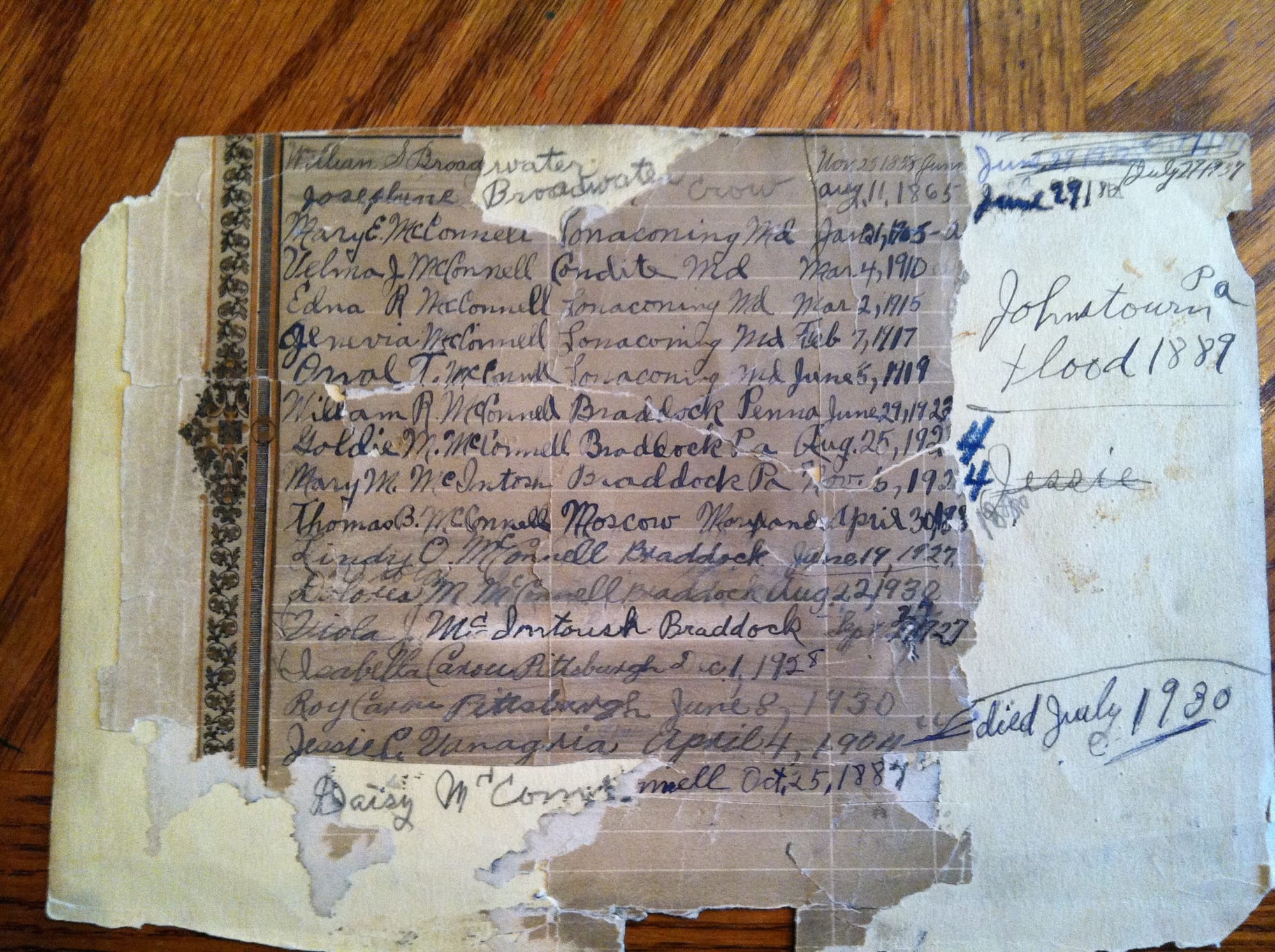 The McConnell Family Siblings - Mom Genes...and Dad's too