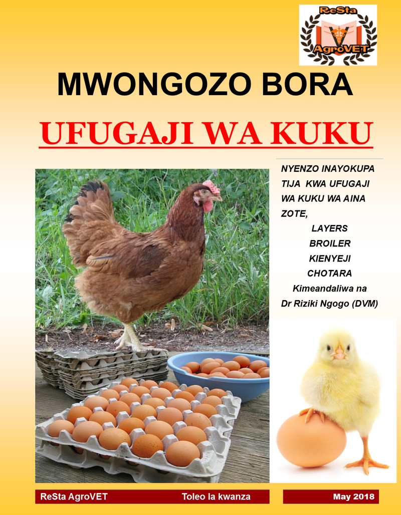 Mwongozo Bora Ufugaji wa NGURUWE - Farmers Platform