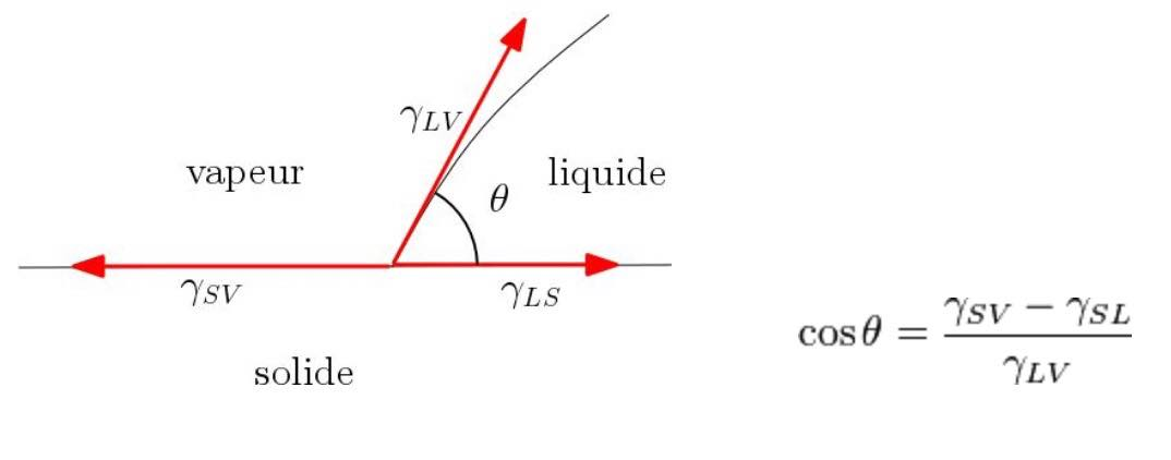 Angle de contact et mouillabilité - L"hydrophobie
