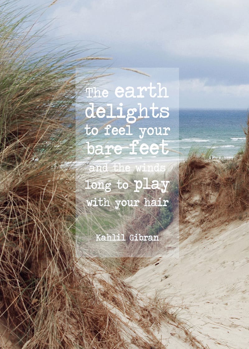 Seagrass Quotes