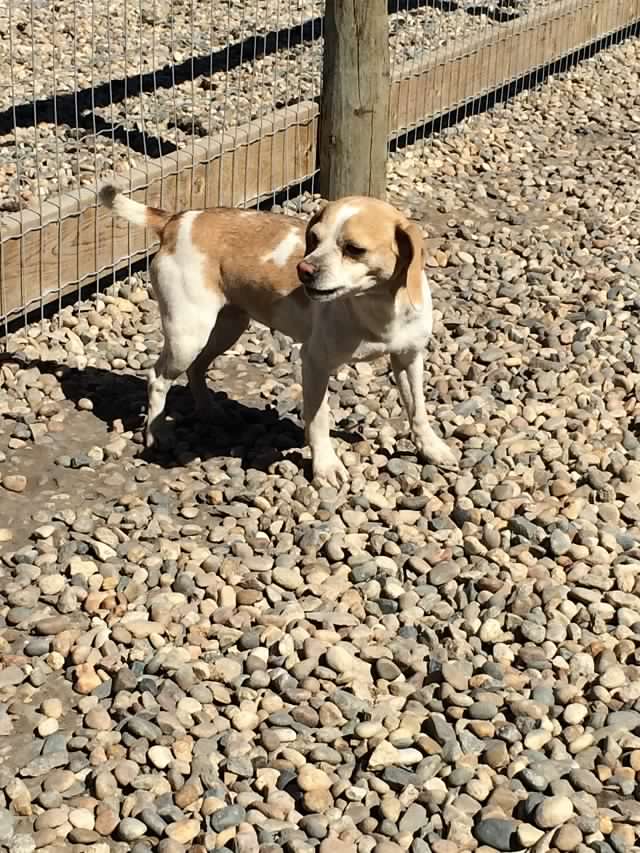 RVR/RDInc. - RAFTER V RANCH