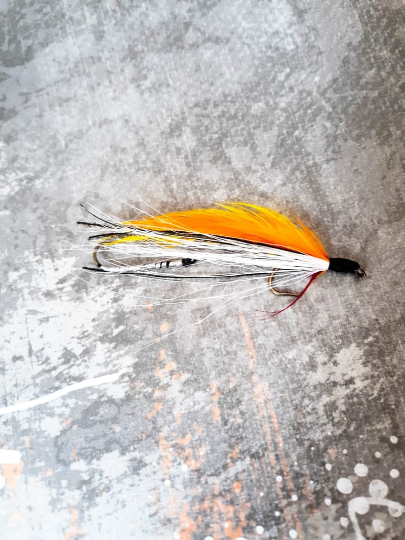 Gray ghost - LAKESIDE FLIES