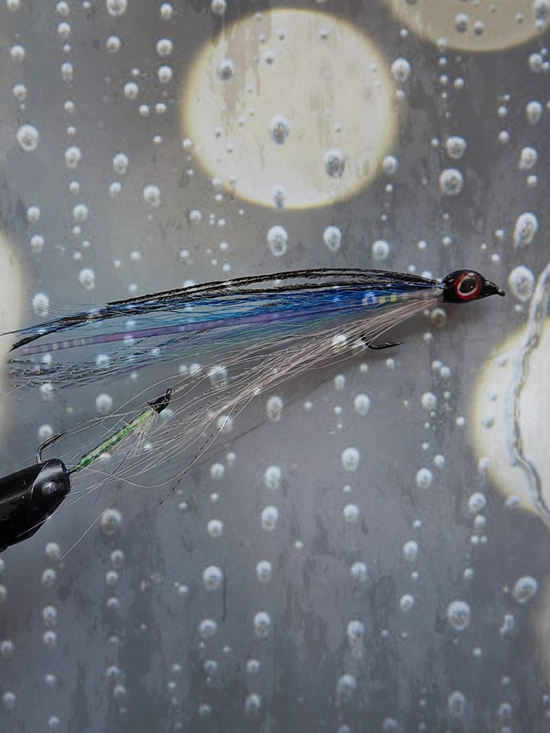 Gray ghost - LAKESIDE FLIES