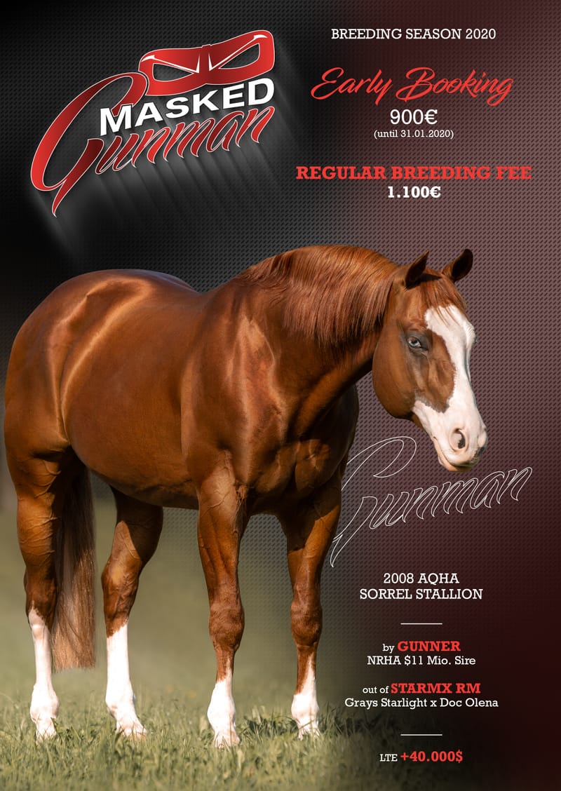 Quarter Horse Deckhengst Gunner Sohn Grays Starlight Enkel
