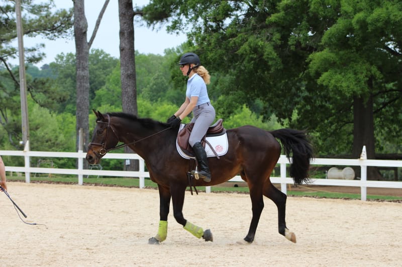 Scenic City Equestrian Center | Call: 706-944-3372