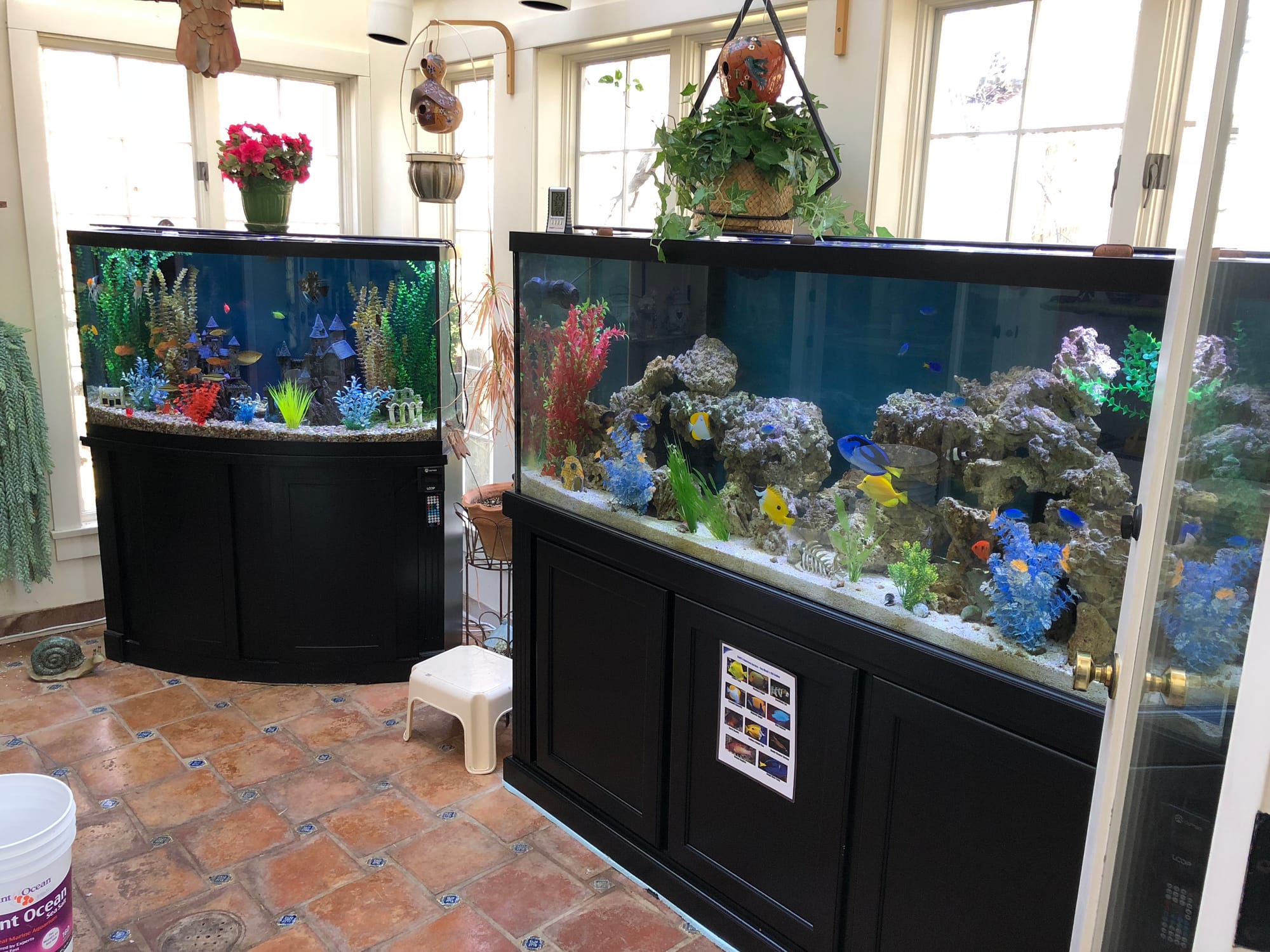 Clark's Aquarium Maintenance Service installs and maintains aquarium ...