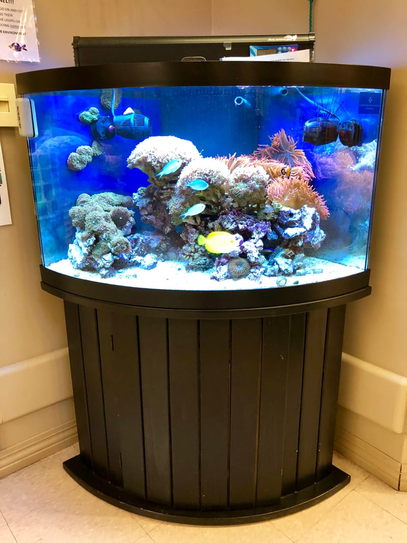 Clark's Aquarium Maintenance Service installs and maintains aquarium ...