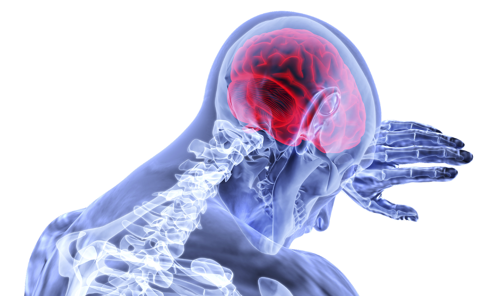Procaina y Terapia Neural - ArteSanos de la Salud